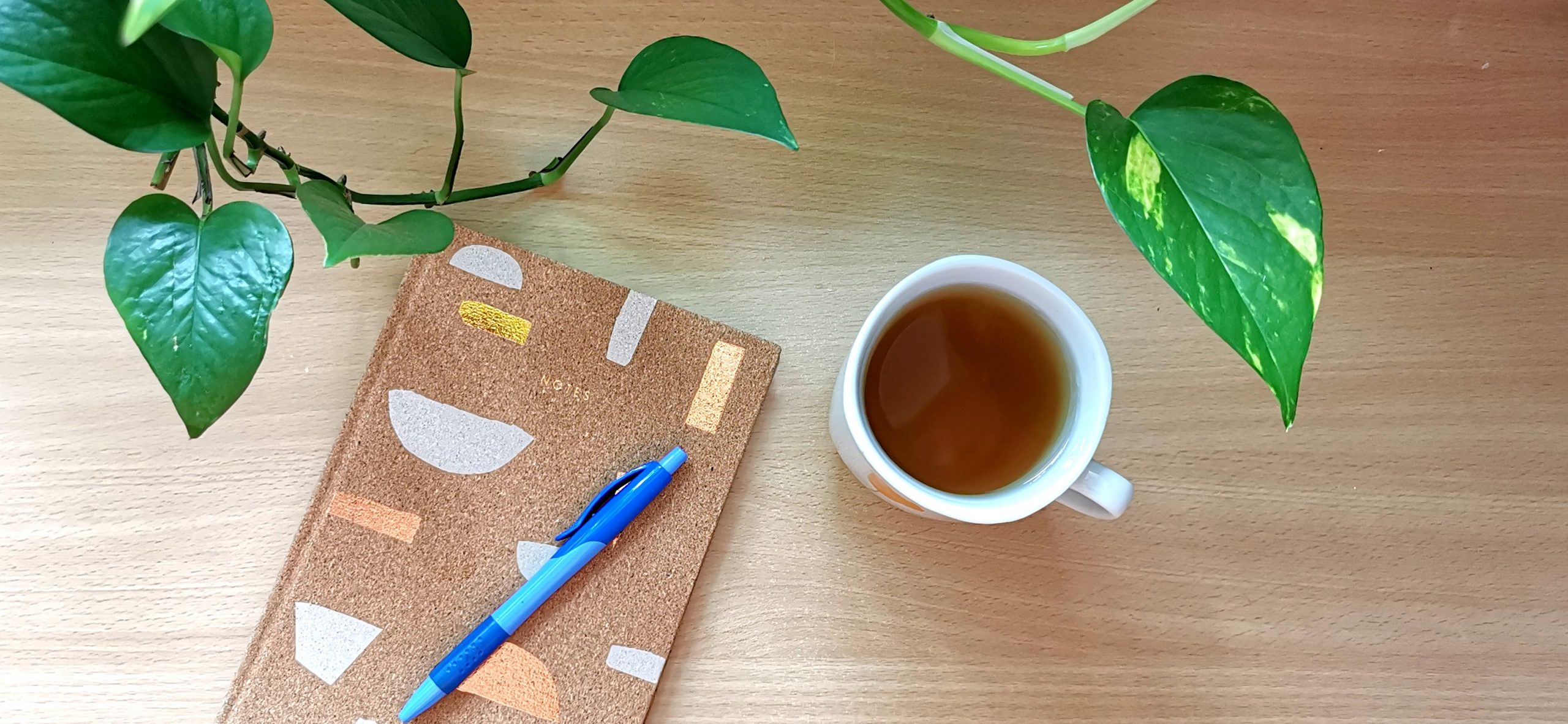 The 3 best healthy, economic, and easy hobbies to simplify your hectic ...